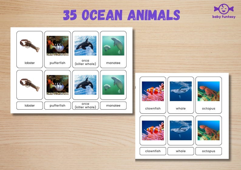 35 Ocean Animal Flashcards: Real Photo Montessori Cards (printable ...
