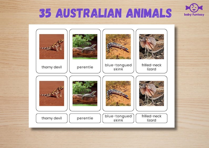 35 Australian Animal Flashcards | Real Photo Montessori Cards | Native ...
