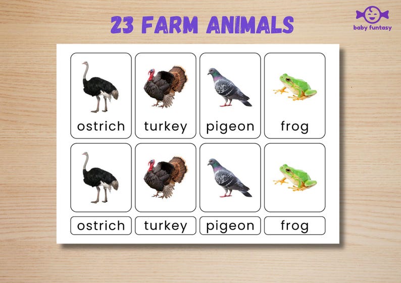 Farm Animals Flash Cards: Montessori Preschool Printable (instant ...