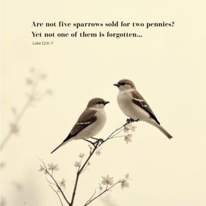 Luke 12:6-7 Christian Wall Art | Not One is Forgotten Sparrow Print ...