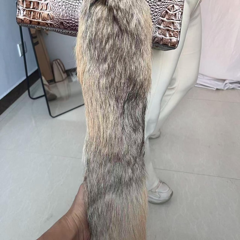 25" to 26" Fox Tails, Ethical Taxidermy Therian Tail Cosplay: Gray Gold ...