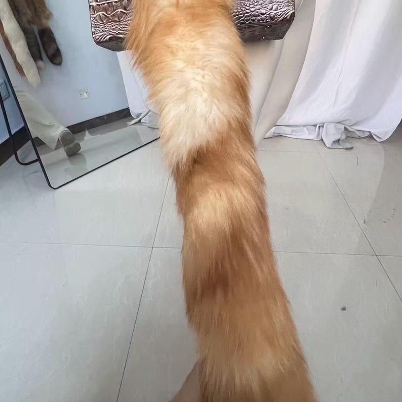 45" Fox Tails, Ethical Taxidermy Therian Tail Cosplay: Gold, Clip On ...