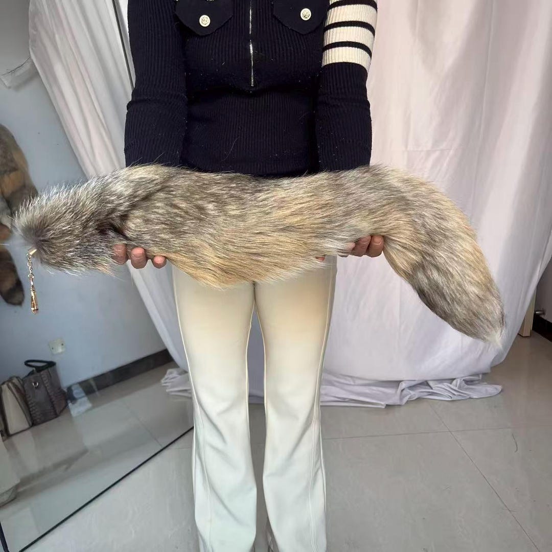 25" to 26" Fox Tails, Ethical Taxidermy Therian Tail Cosplay: Gray Gold ...