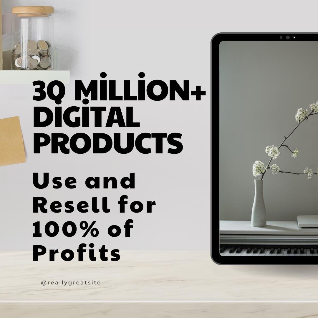 PLR MRR Canva Mockup Template Bundle Master Resell Rights Digital ...
