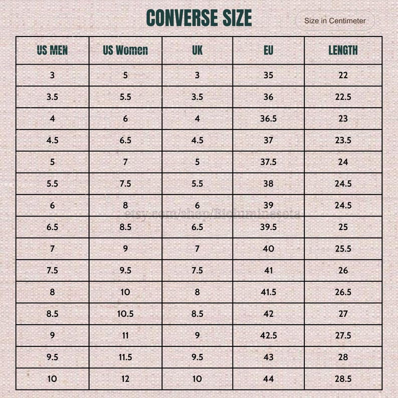 Hand Embroidered Converse Shoes – Floral Custom High Tops – Unique Personalized Sneakers – Daisy ...