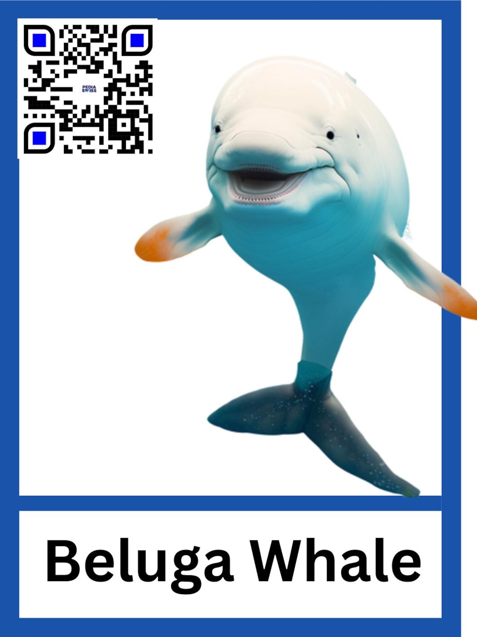 Animals Talk,continents Talk, Interactive Barcode Technology ...