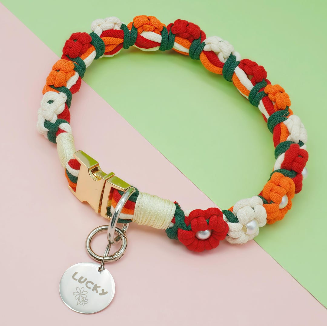 Personalized Dog Collar With Engraved Tag – Petal-shaped Design, Custom ...