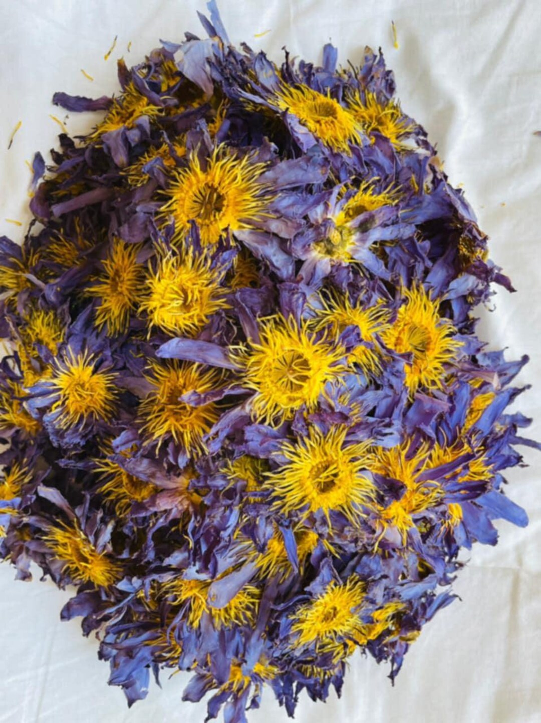 Dried Blue Lotus Pure Stamens 100% Organic Herbal Nymphaea Caerulea ...