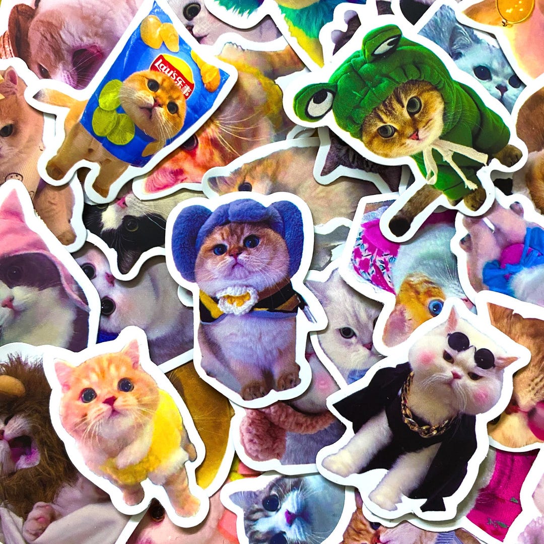 50 PCS Cute Cat Stickers, Funny Dressed-up Cat Sticker Pack, Waterproof ...