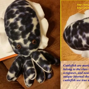 Cuttlefish Plush, Cuttle Fish to Cuddle, Hand Crafted Sea Animals ...