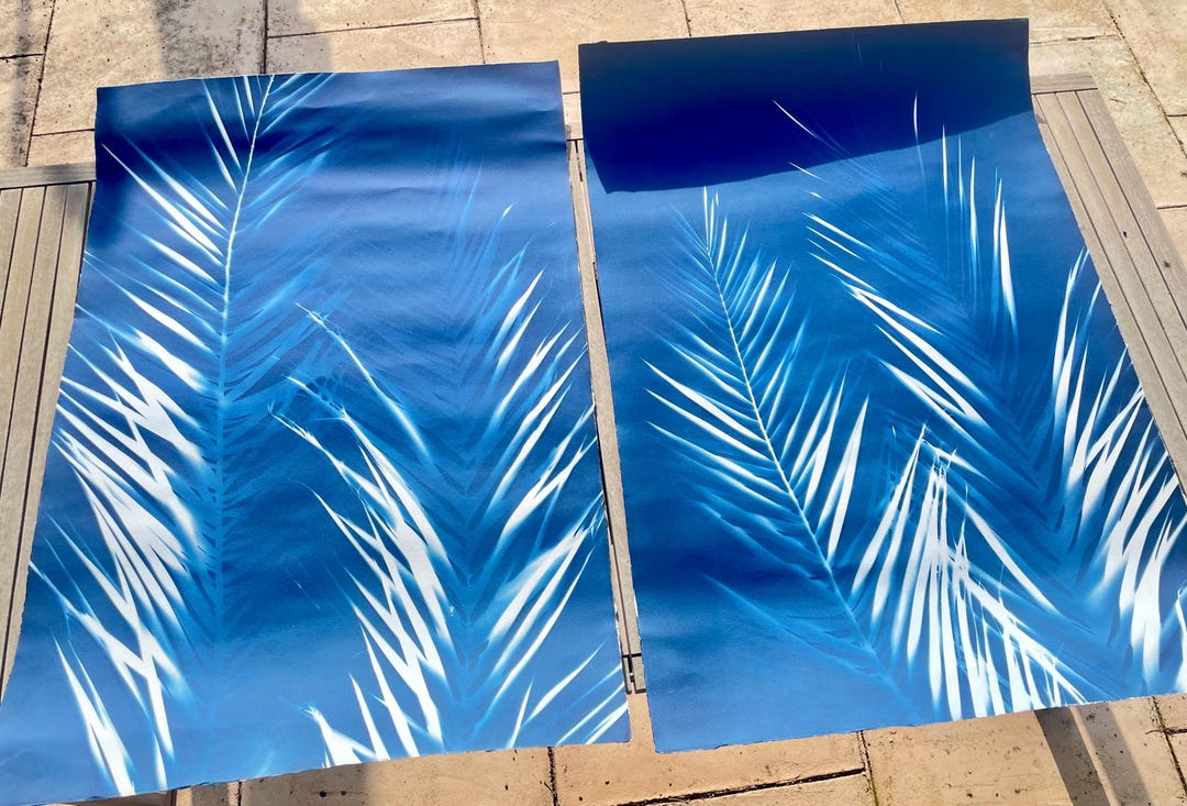 CYANOTYPES on Biblos Guarro Paper. Size 107x73 Cm - Etsy
