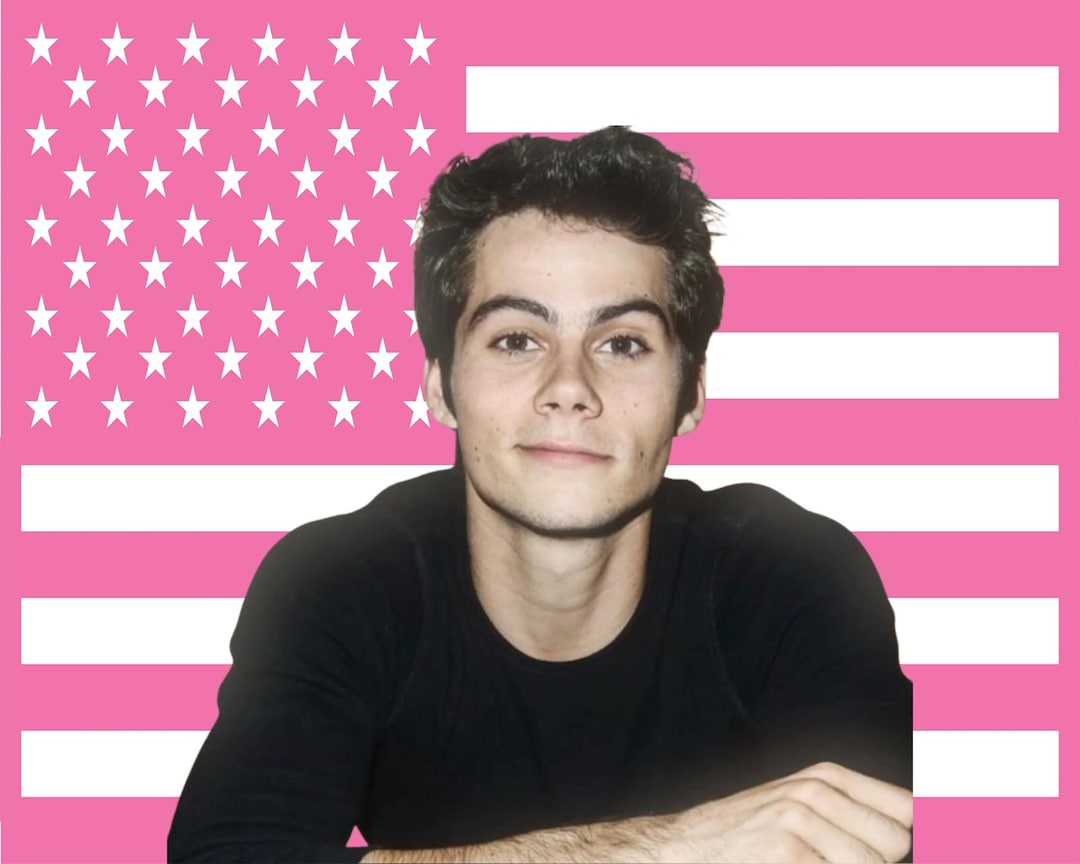 Dylan O'brien Pink American Flag Wall Tapestry, Polyester Flag ...