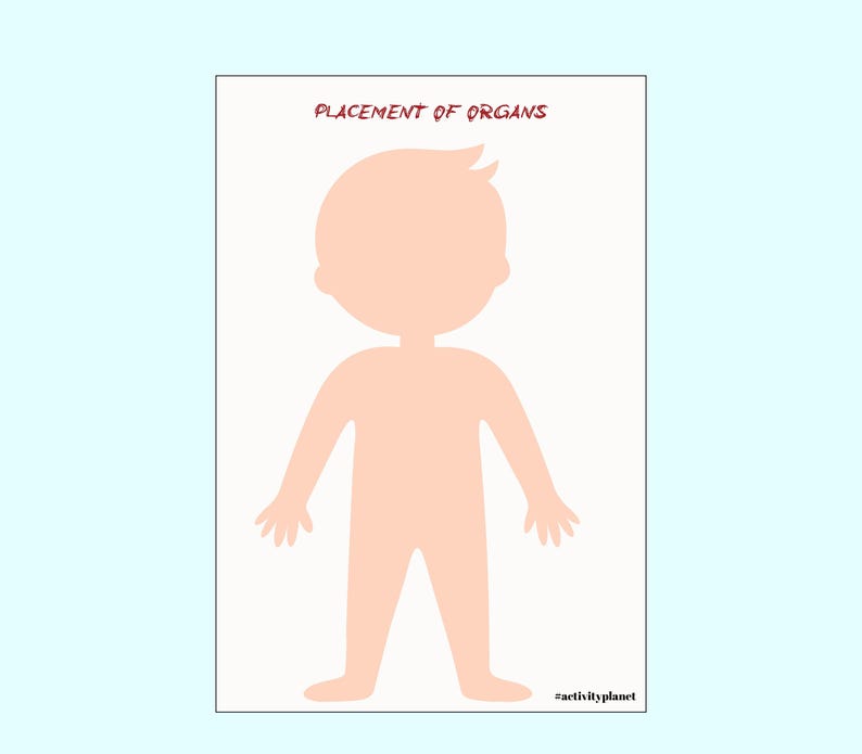 Human Anatomy Activity Unit, Printable Human Body Organ Matching ...