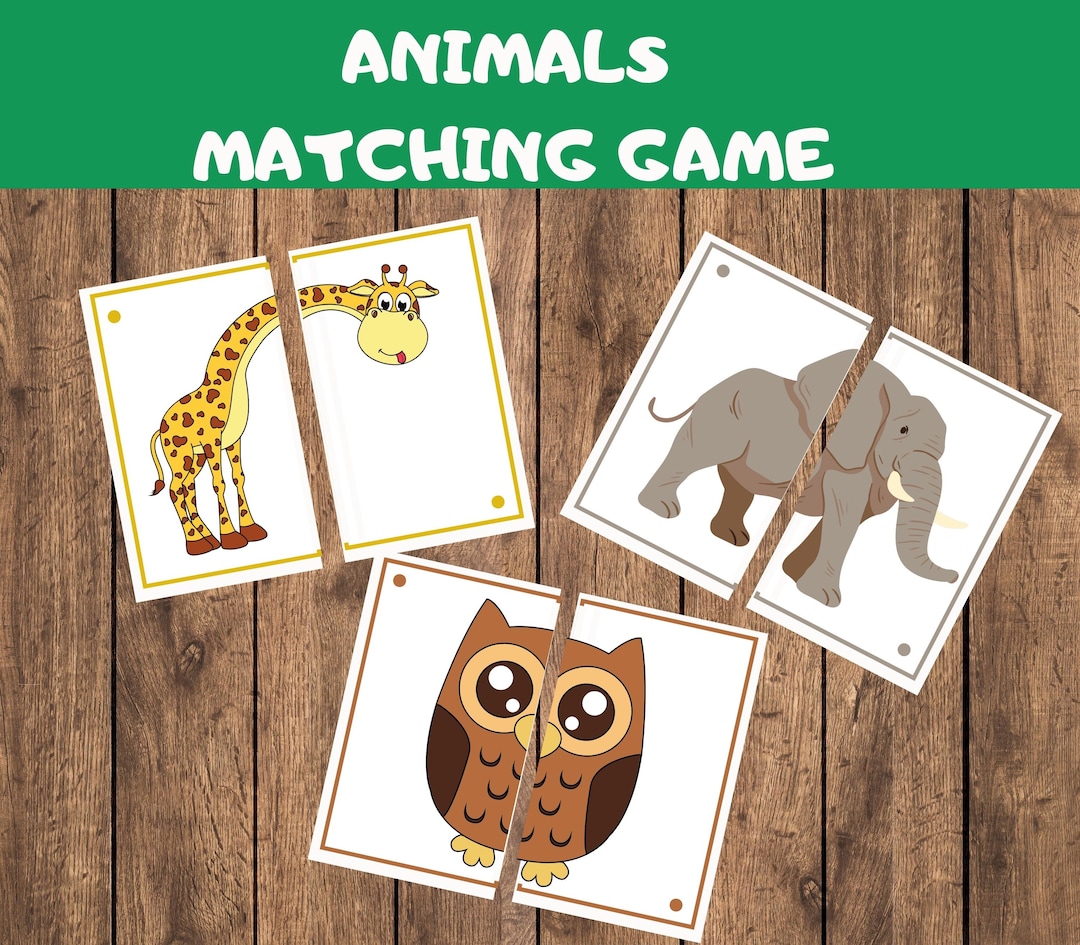 48 Animals Matching Game for Kids, Symmetry Puzzle, Match Picture Card ...