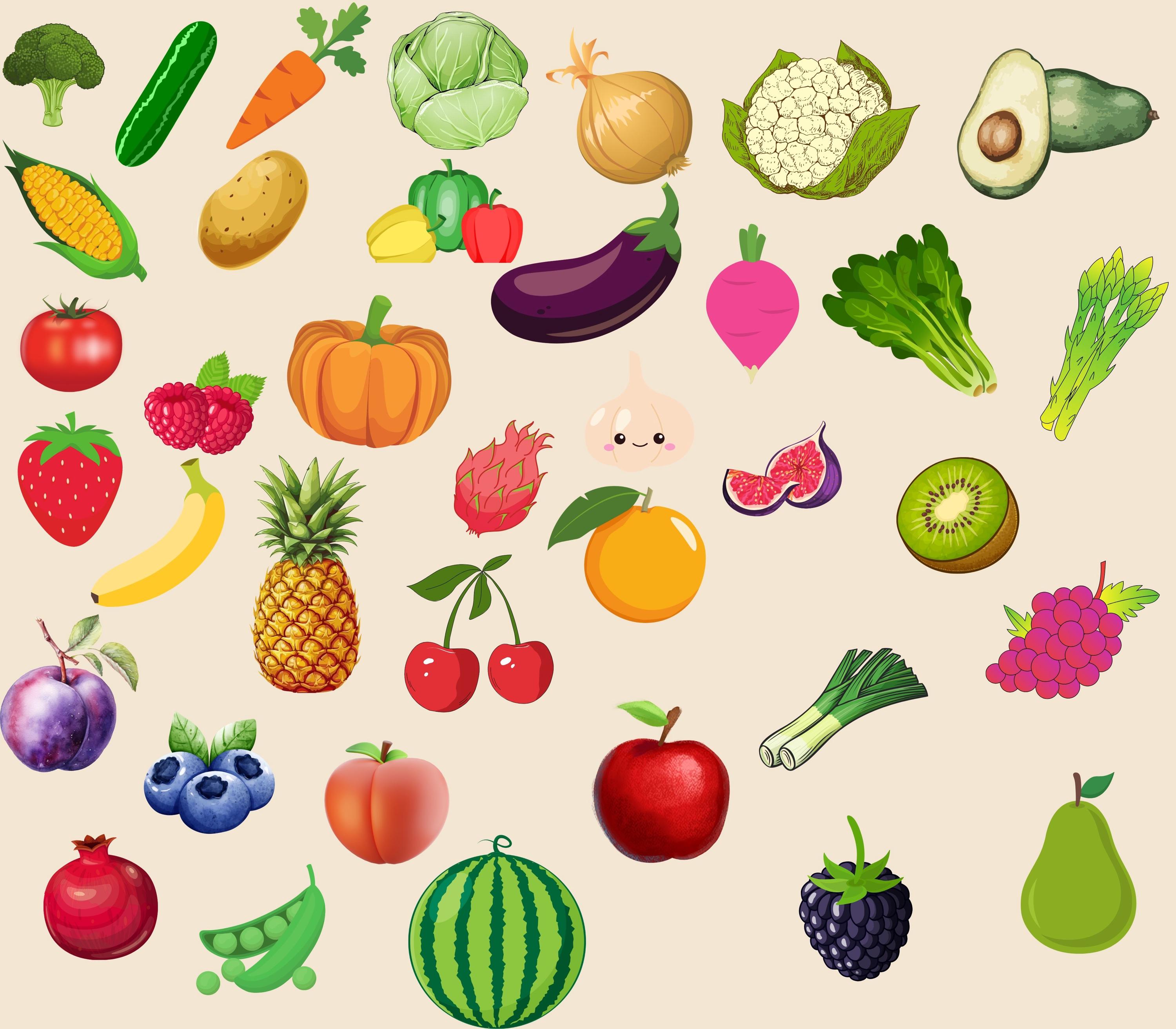 Fruit & Vegetable Sorting æctivity ,educational Preschool Worksheets ...