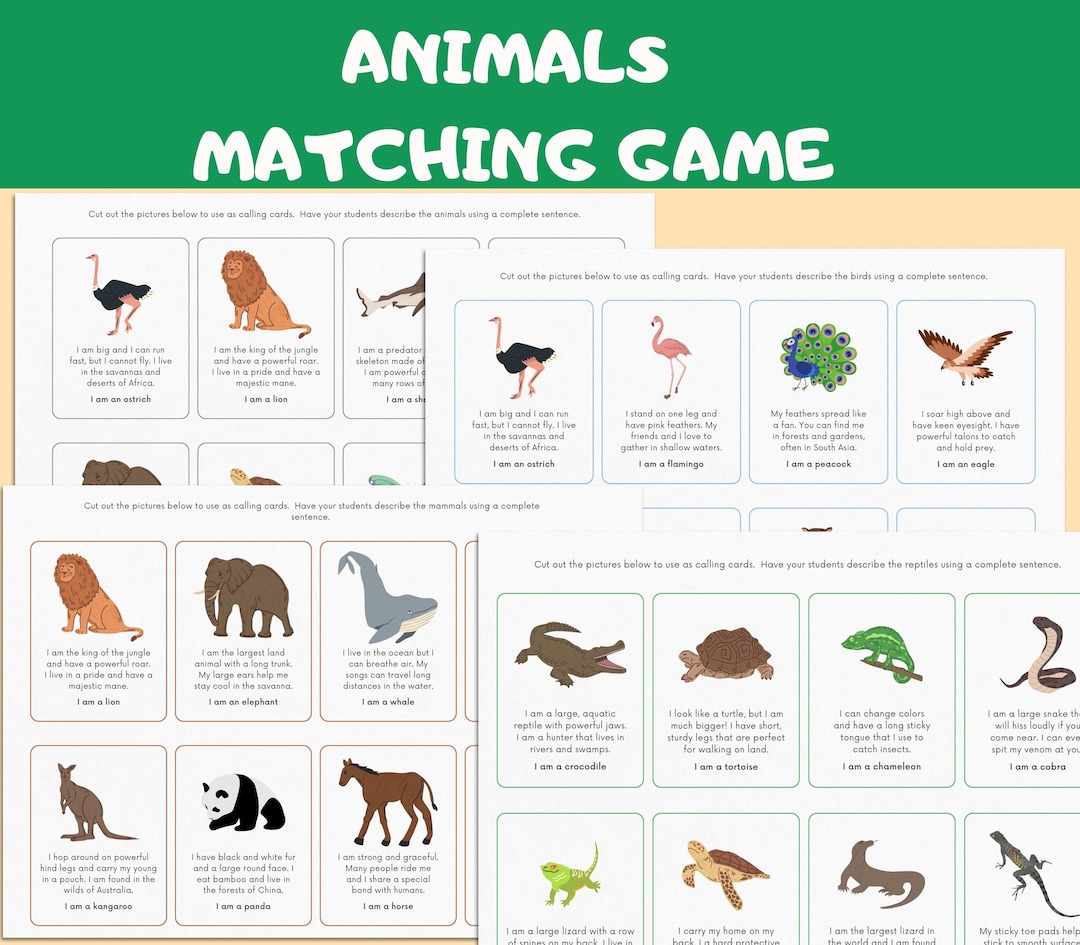 Animal Matching Cards, Animal Games, Match the Animal, Animals of the ...