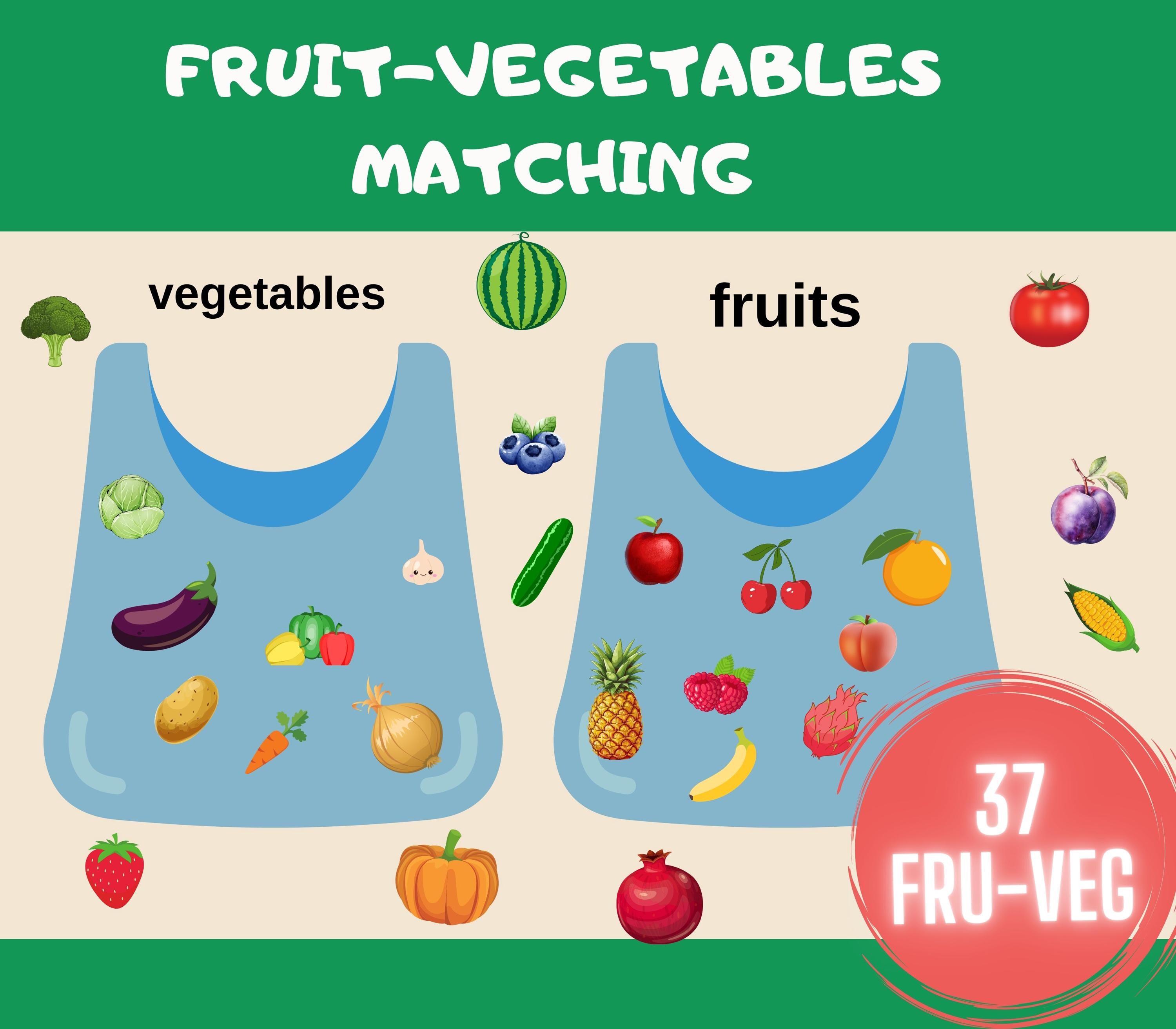 Fruit & Vegetable Sorting æctivity ,educational Preschool Worksheets ...
