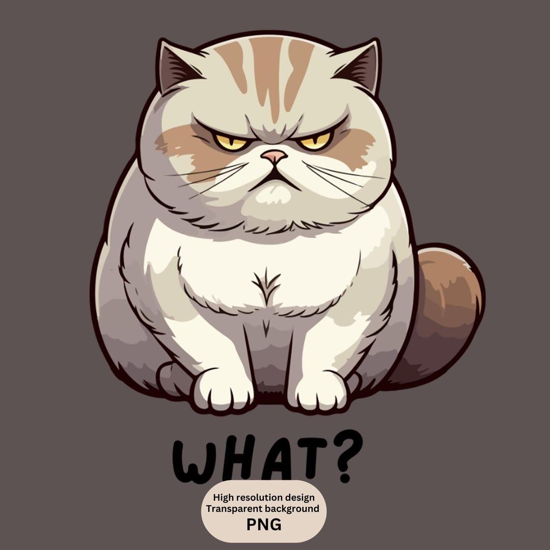 Grumpy Cat 'WHAT?' PNG | Funny & Sassy Digital Design - Etsy