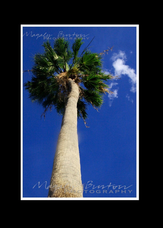 Palm Tree Photograph Tropical Wall Art Decor Palm Leaves Etsy