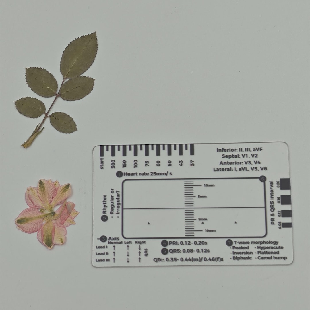 ECG 7 Step Ruler,portable Transparent ECG Ruler Plastic Ruler Measuring ...