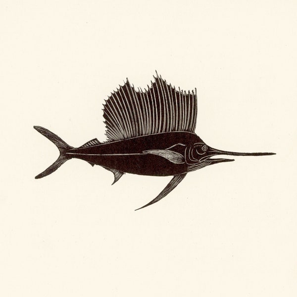 Antique Fish Print - Etsy