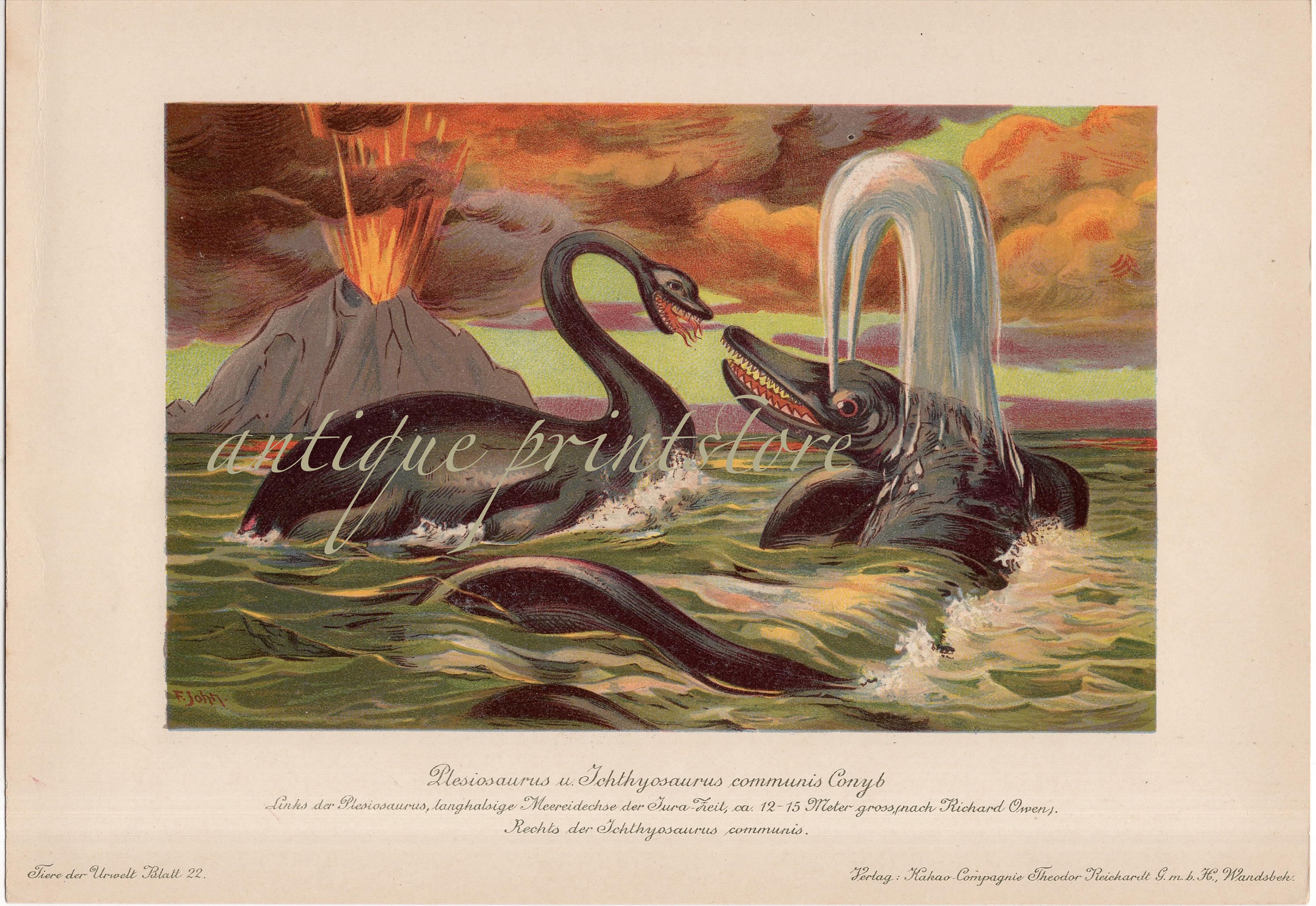 Ichthyosaurs And Plesiosaurs
