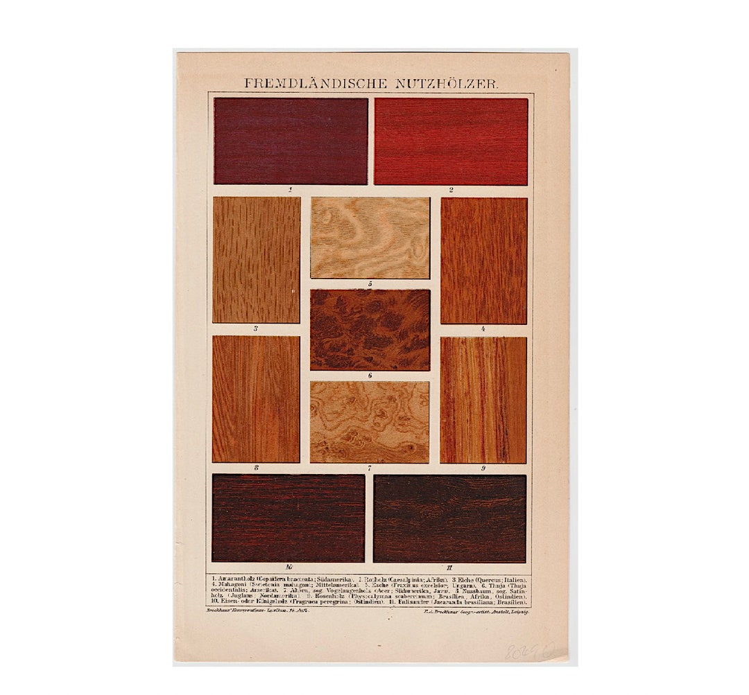 C. 1903 TYPES OF WOOD Lithograph • Original Antique Print • Parquet ...
