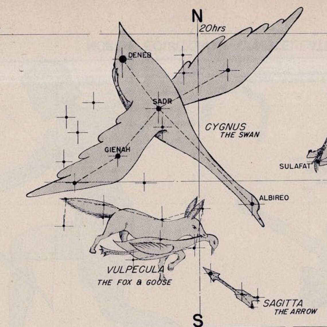 C. 1946 CONSTELLATION FIGURES Original Vintage Celestial - Etsy