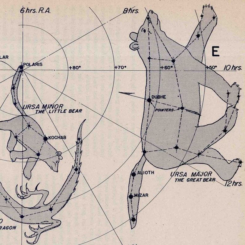 C. 1946 CONSTELLATION FIGURES Original Vintage Celestial - Etsy