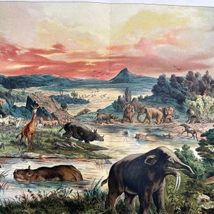 C.1878 LARGE PREHISTORIC LANDSCAPE • Original Antique Print • Dinosaur ...