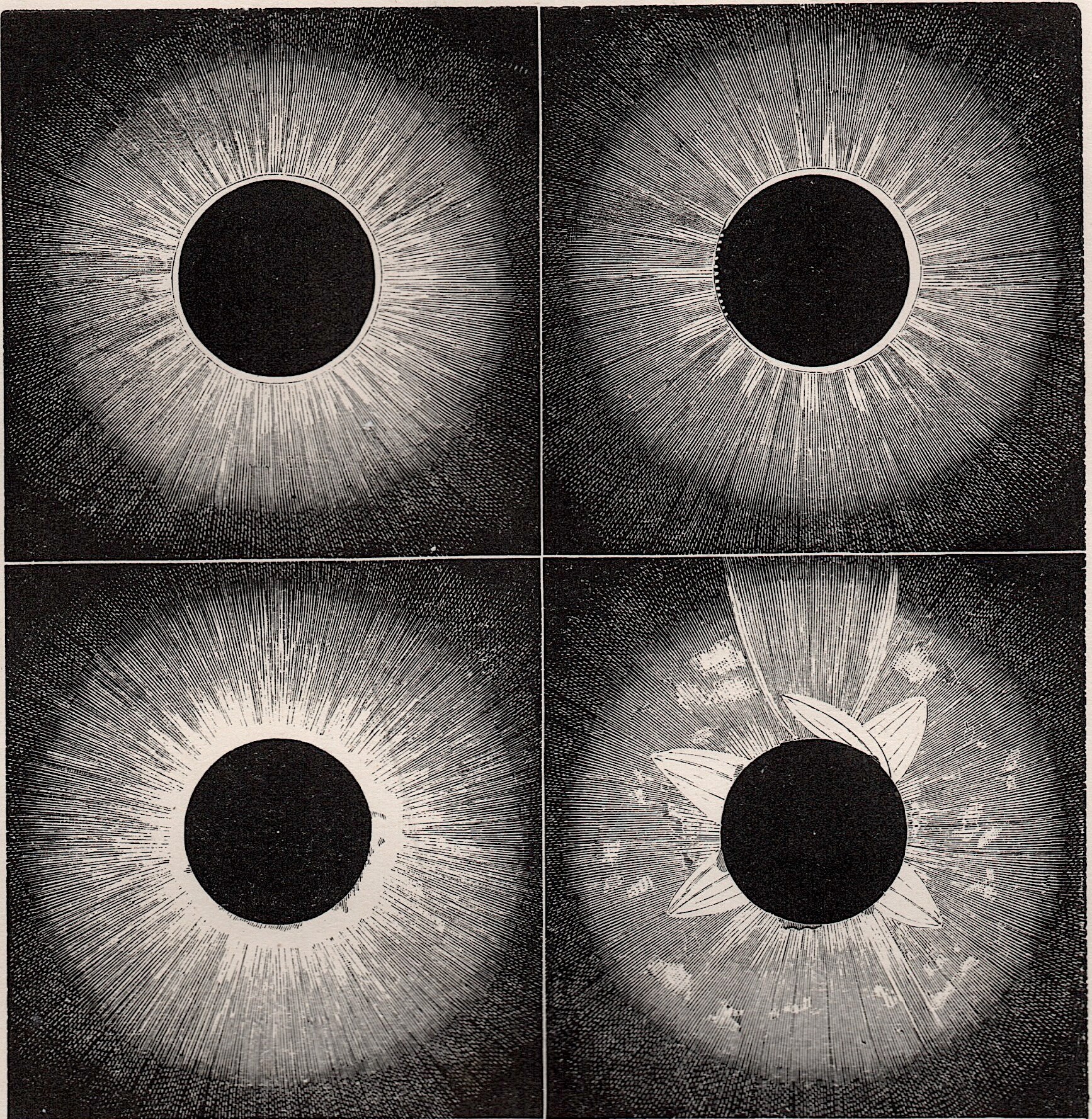 C. 1866 SOLAR ECLIPSES Lithograph • Original Antique Print • Astronomy ...