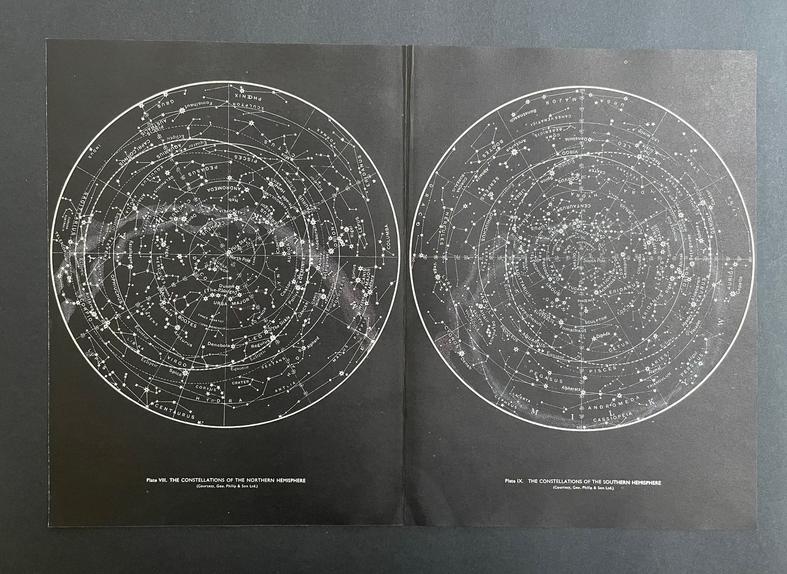 C. 1959 VINTAGE CONSTELLATION MAP Original Vintage Print | Etsy