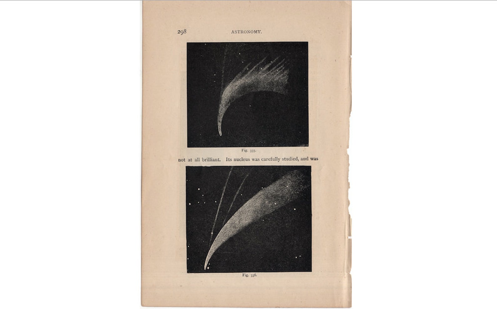 Antique Print Comets PRINT C. 1882 Original Antique | Etsy