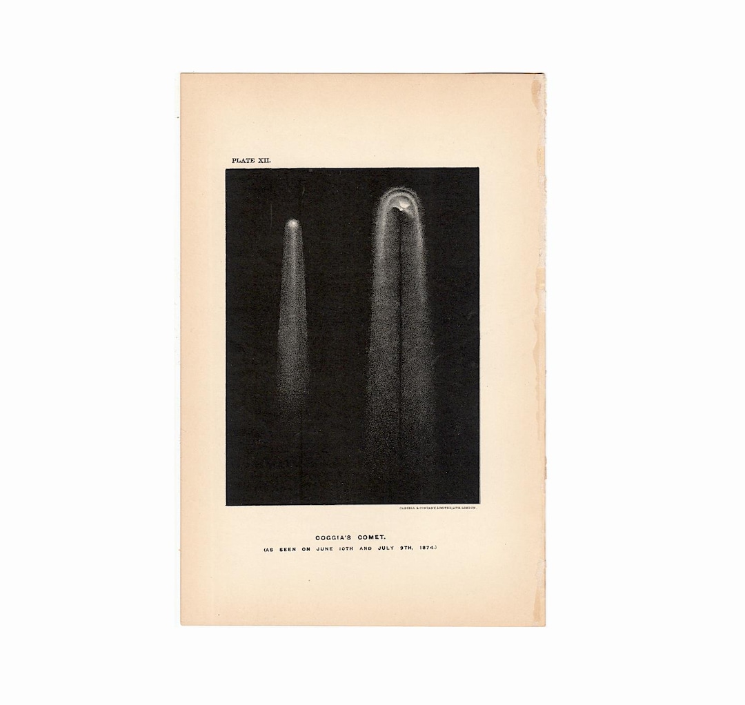 COGGIA'S COMET Print C. 1905 • Original Antique Print • Celestial Print ...