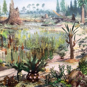 C. 1960 MESOZOIC LANDSCAPE Lithograph Original Vintage Print Extinct ...