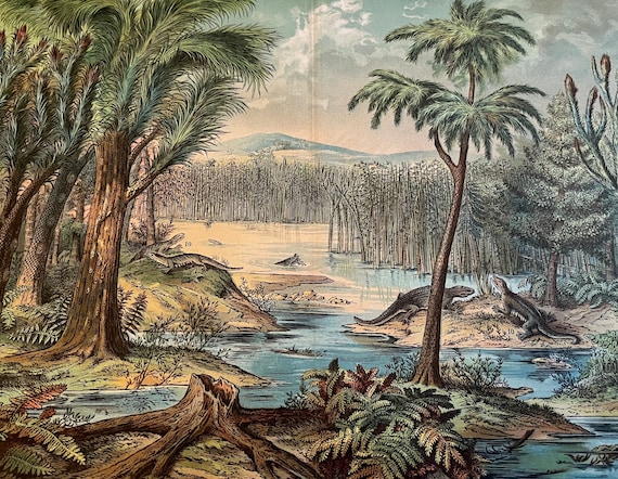 Prehistoric Landscape