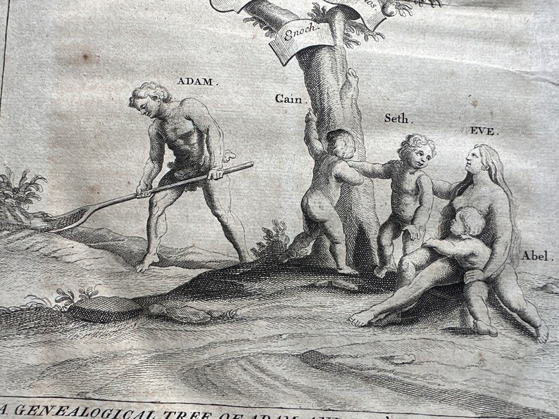 C. 1732 ADAM & EVE Family Tree Engraving • Original Antique Print ...