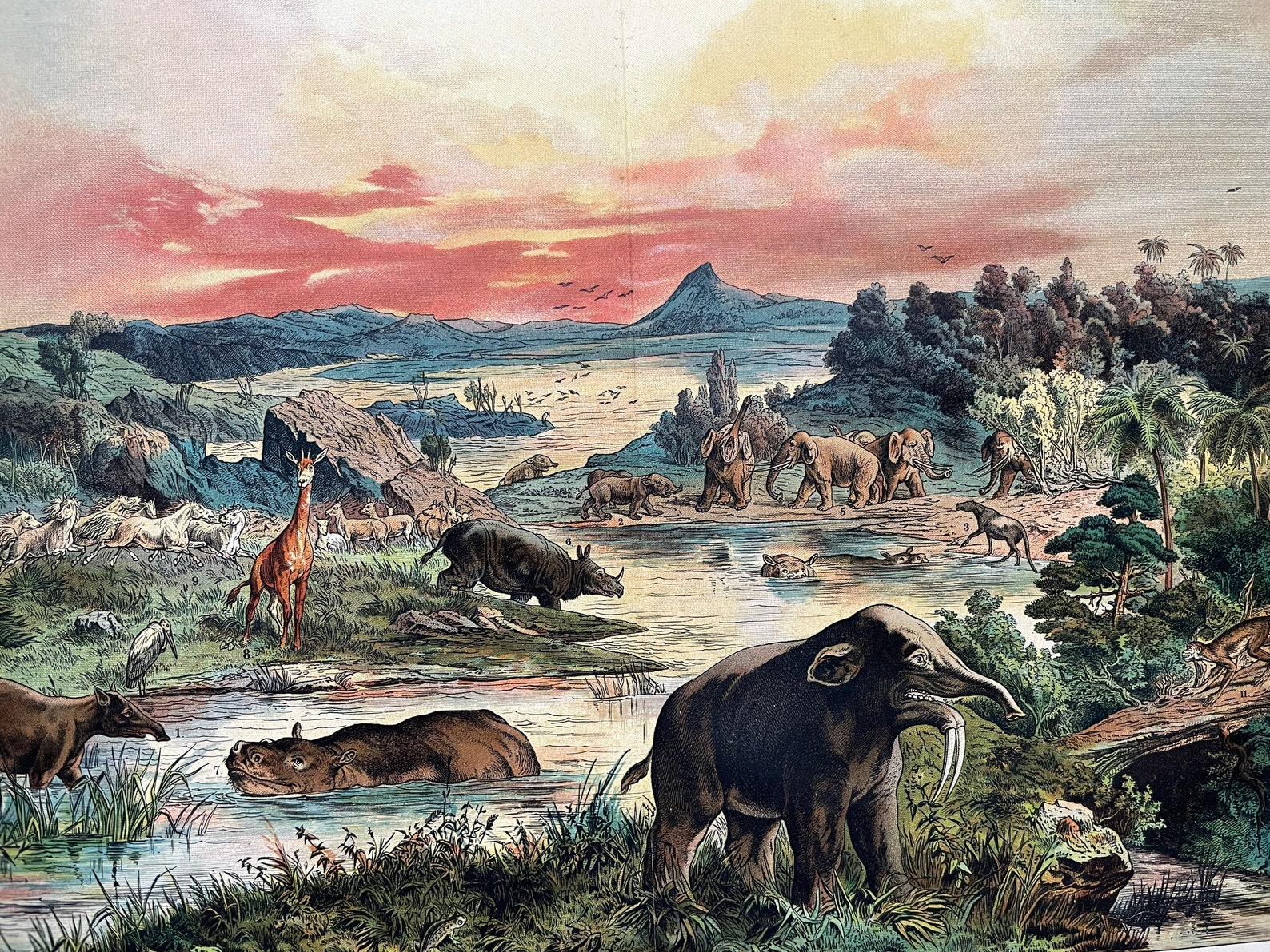 C.1878 LARGE PREHISTORIC LANDSCAPE • Original Antique Print • Dinosaur ...