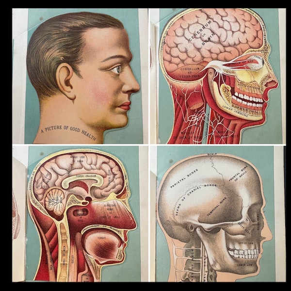 Old Original Print - Etsy