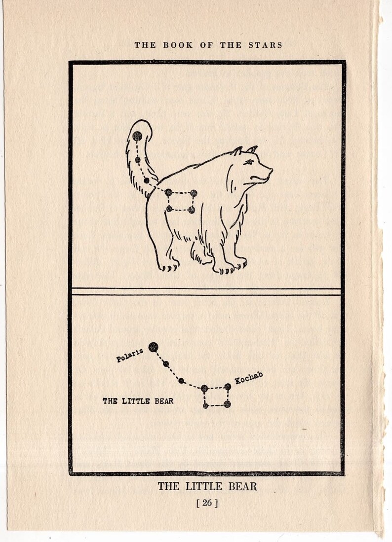 C. 1944 Little Dipper CONSTELLATION FIGURE PRINT Original - Etsy