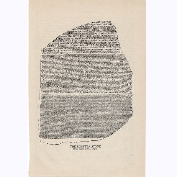 Rosetta - Etsy