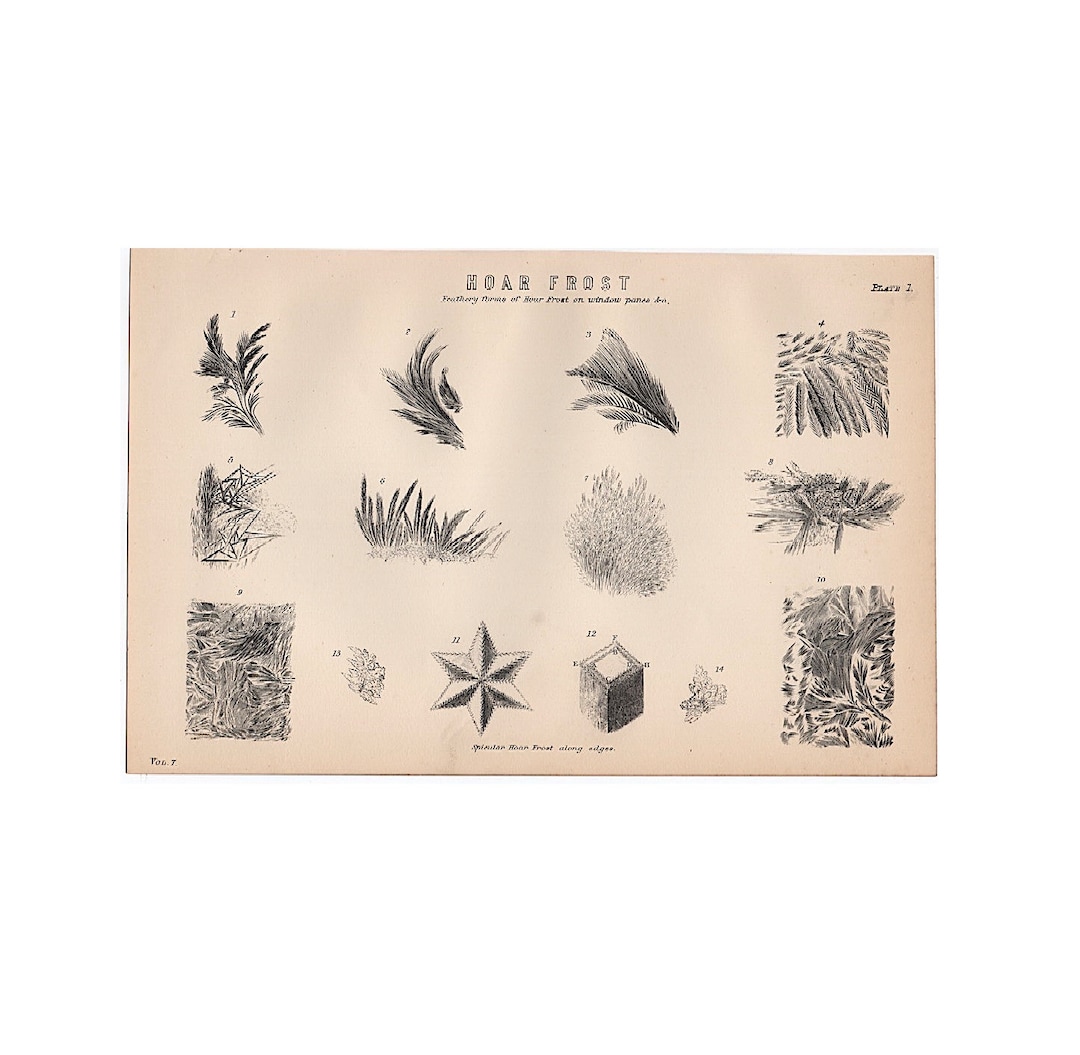 C. 1880 HOAR FROST Engraving • Original Antique Print • Winter Weather ...