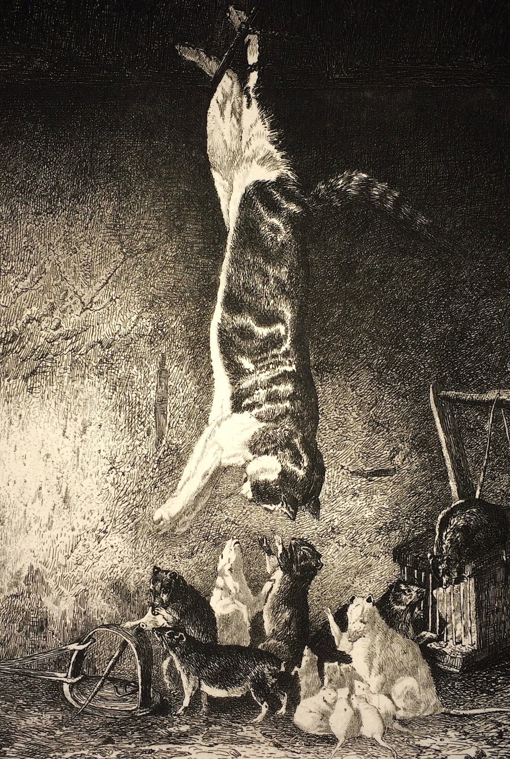 1866 the Cat Feigning Death Original Antique Domestic Animal Print - Etsy