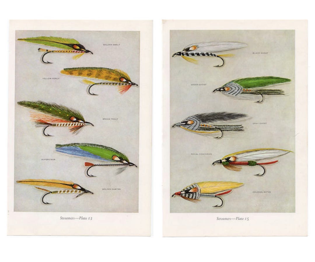 C. 1963 STREAMERS FLY FISHING Lithographs Original Vintage Prints Fresh ...