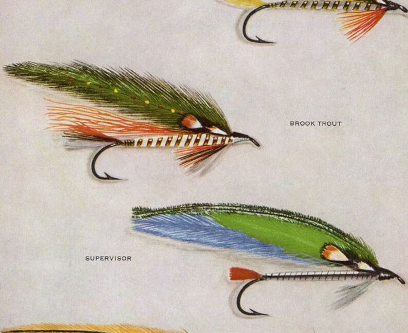 C. 1963 STREAMERS FLY FISHING Lithographs Original - Etsy