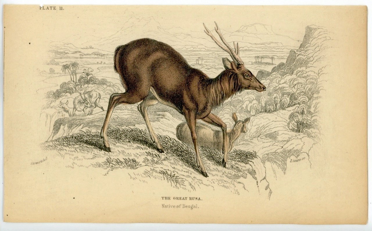 Art & Collectibles Etchings & Engravings Prints Victorian etching ...