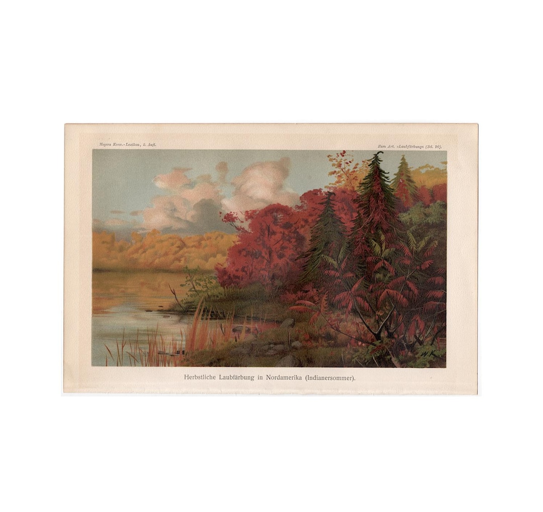 C. 1897 INDIAN SUMMER Lithograph • Original Antique Print - North ...