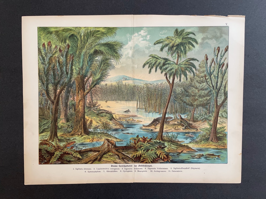 C. 1878 LARGE PREHISTORIC LANDSCAPE • Original Antique Print • Dinosaur ...