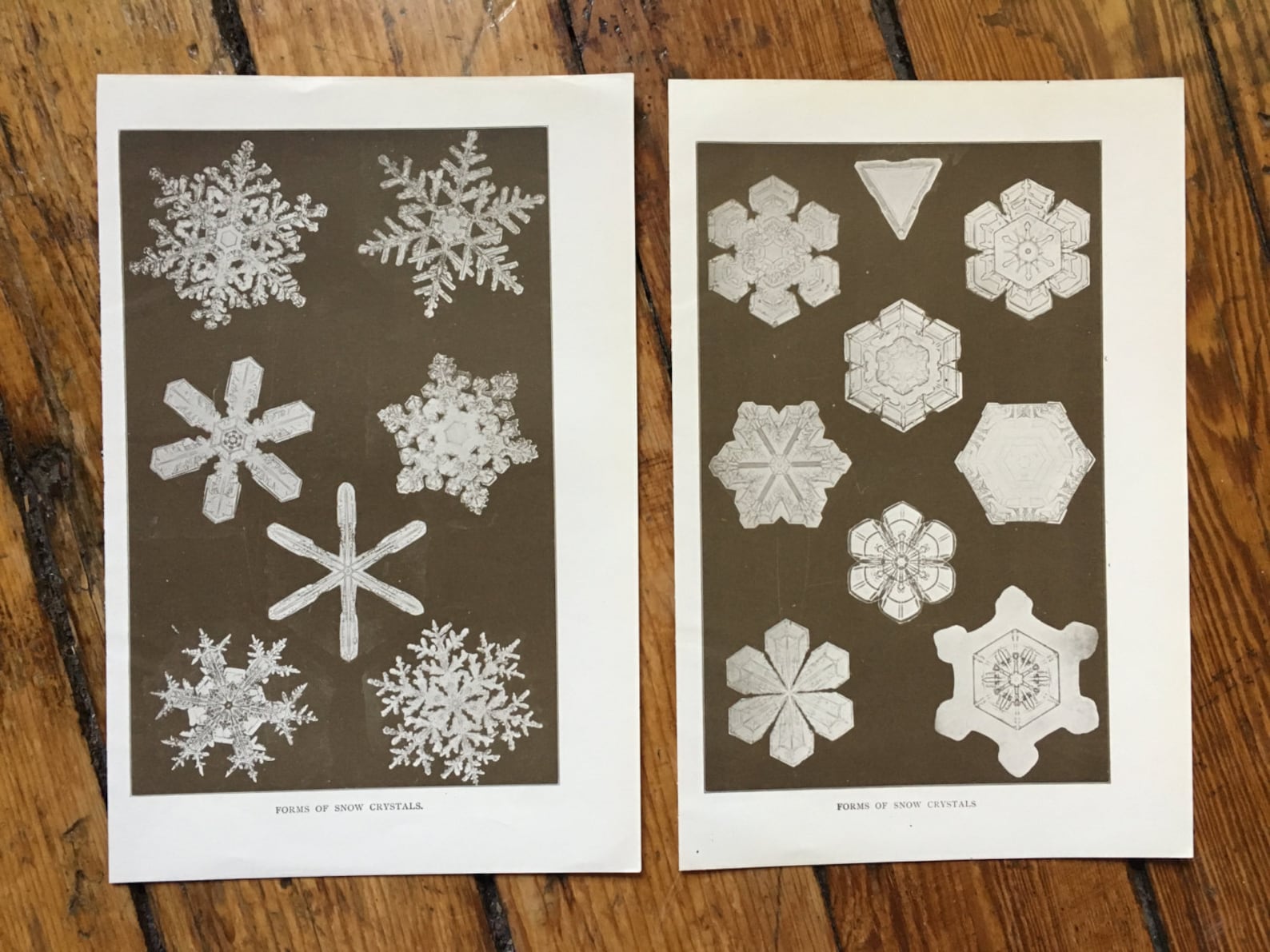 C. 1911 SNOW CRYSTALS Print Original Antique Winter Weather Lithograph ...