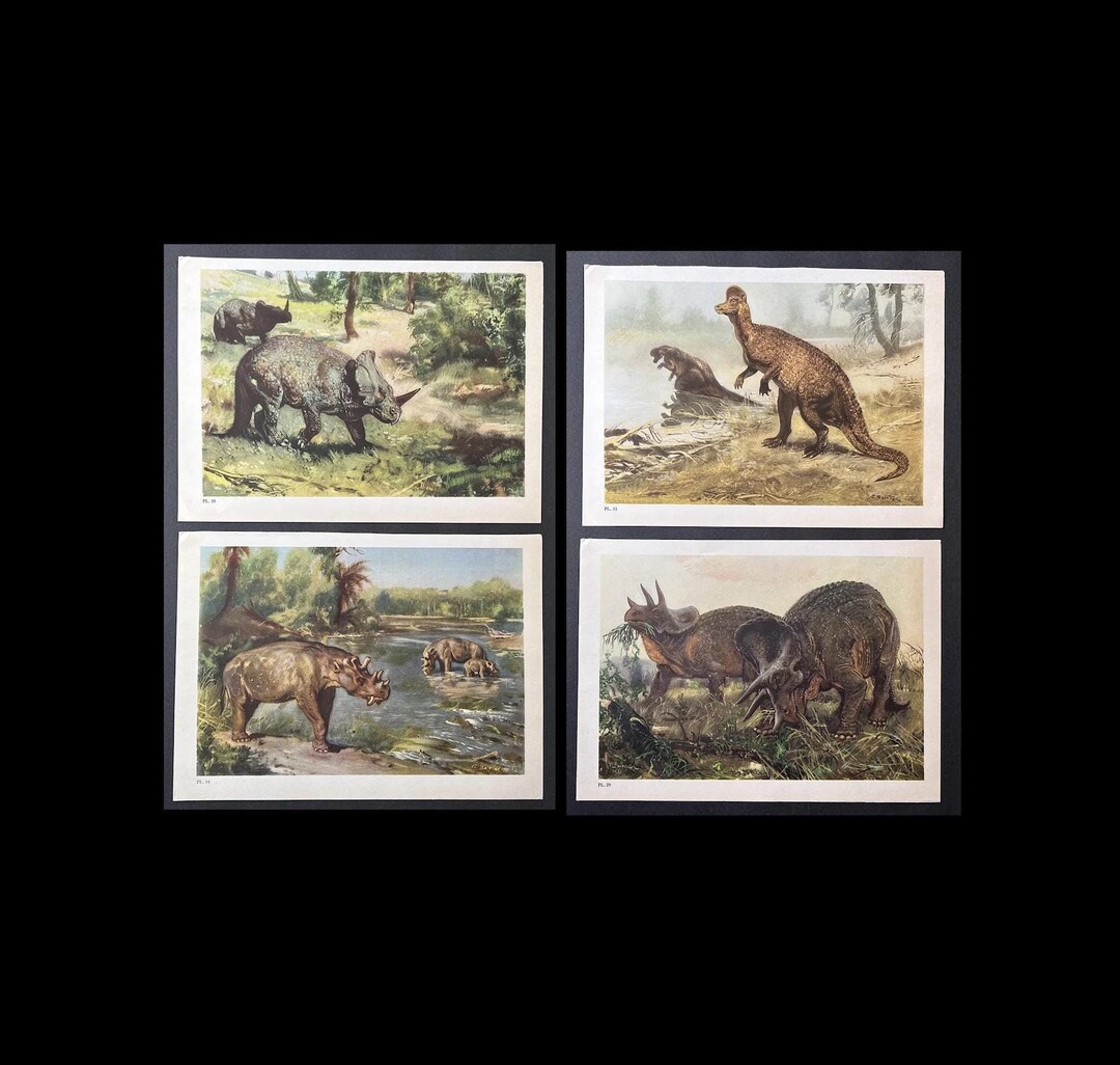 C. 1960 PREHISTORIC LANDSCAPE Lithographs • Original Vintage Prints ...